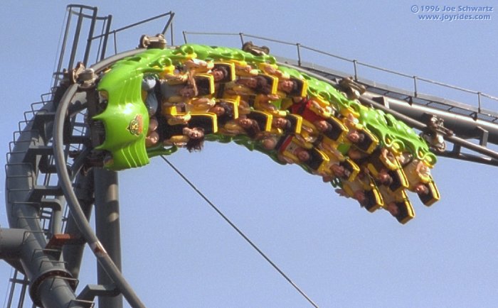 Viper Great Adventure