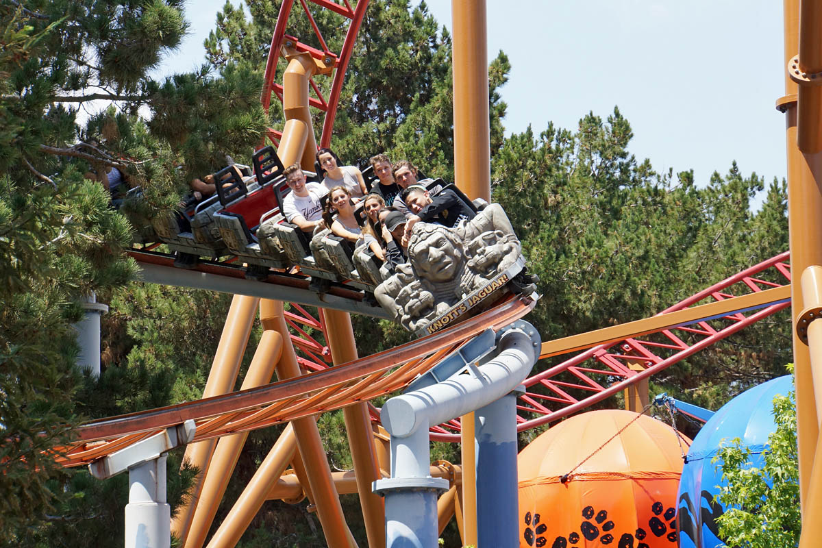 Jaguar Knotts Berry Farm Jaguar! | Six Flags Wiki | Fandom