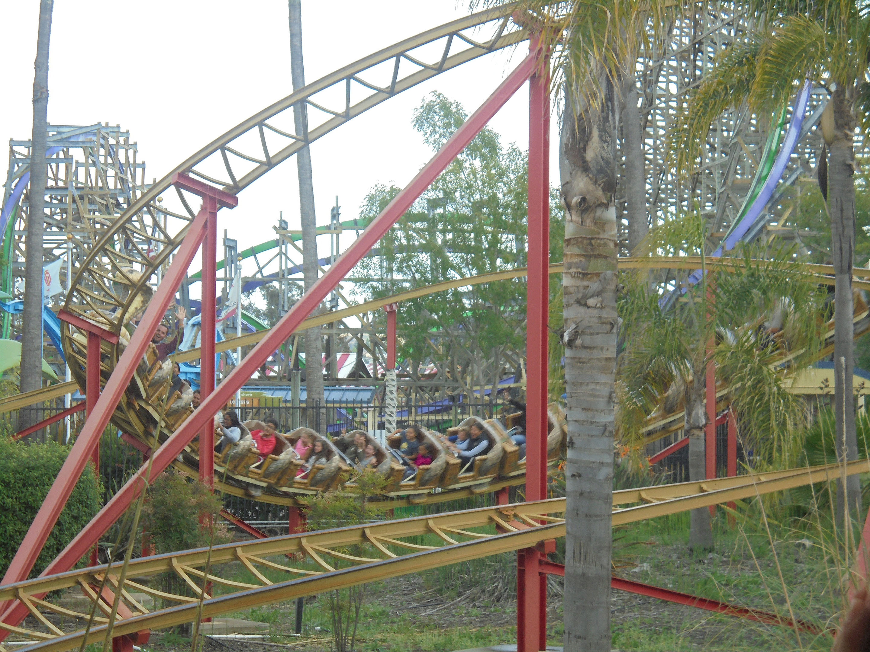 Cobra Roller Coaster California California Theme Parks