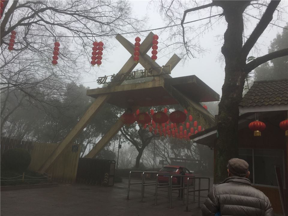 Zoos Wenzhou Wenzhou Zoo Tickets, Opening Hours, Reviews & Photos