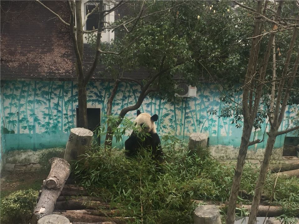 Zoos Wenzhou Wenzhou Zoo Tickets, Opening Hours, Reviews & Photos