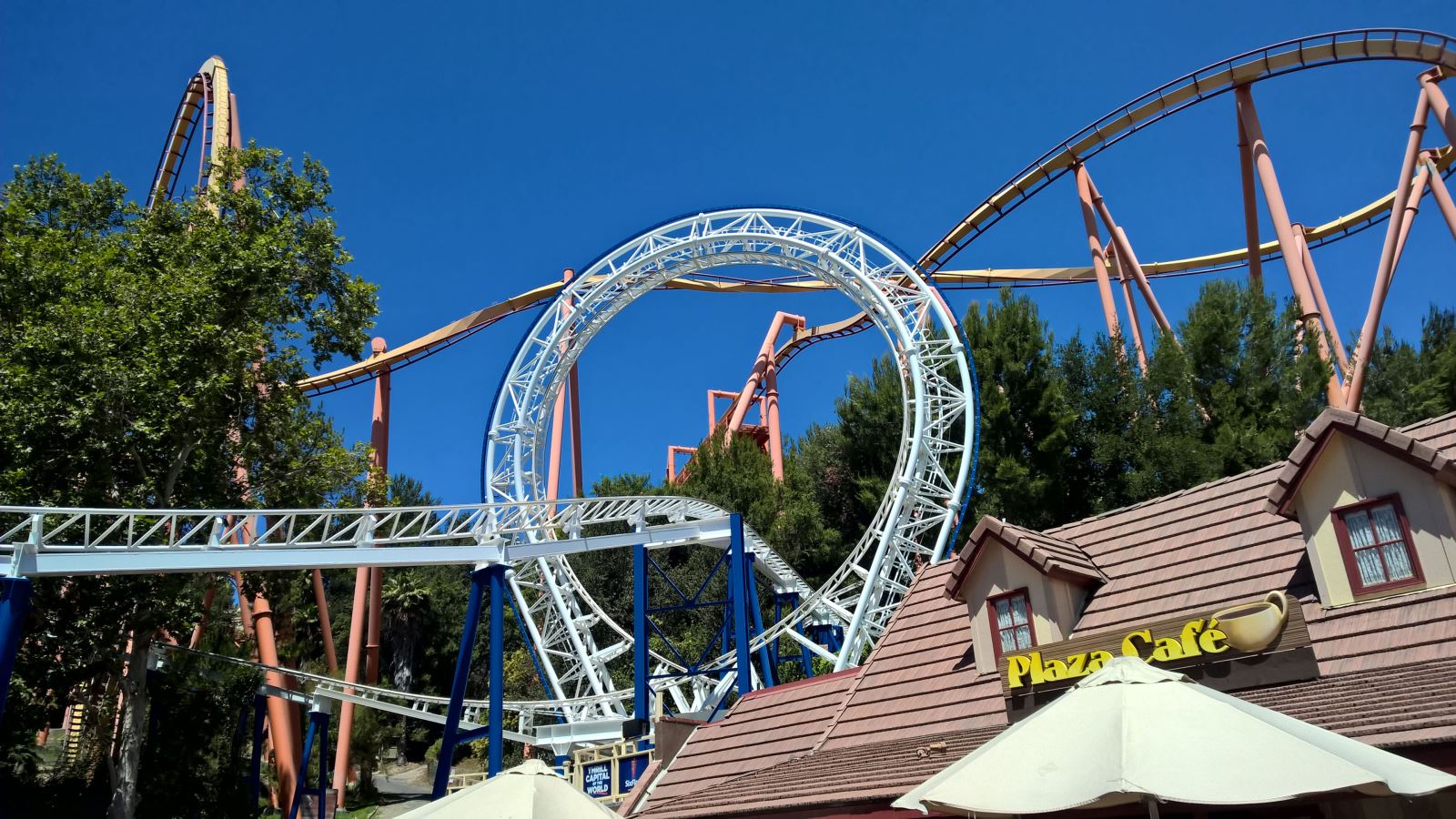 Tatsu Six Flags Magische Berg