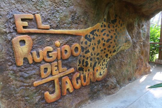 Rugido De Jaguar Rugido De Jaguar Archivos MAKINAS