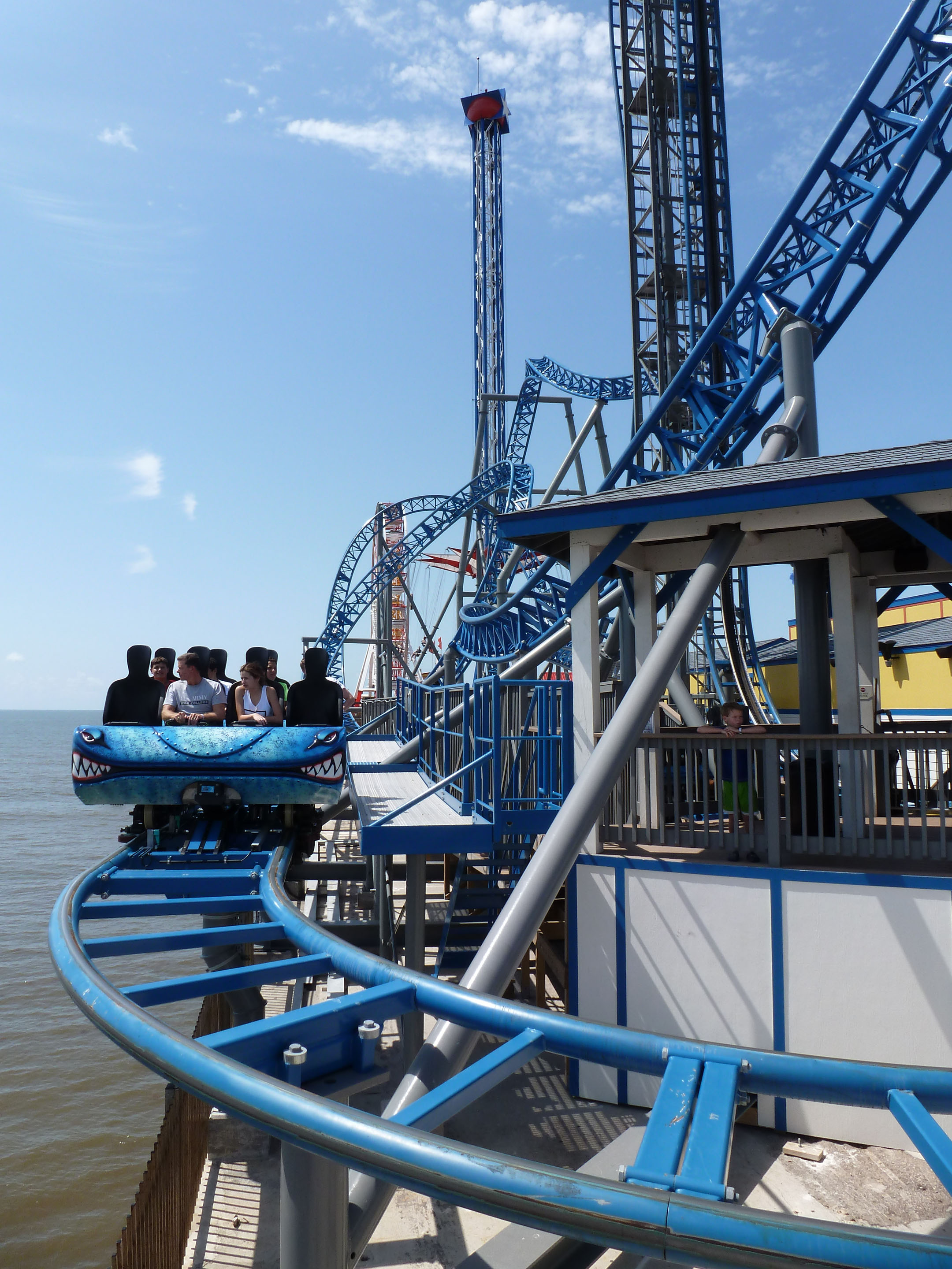 Shark Roller Coaster