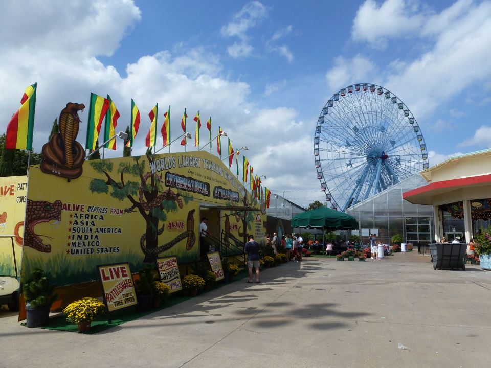 Worlds Largest Ferris Wheel Texas