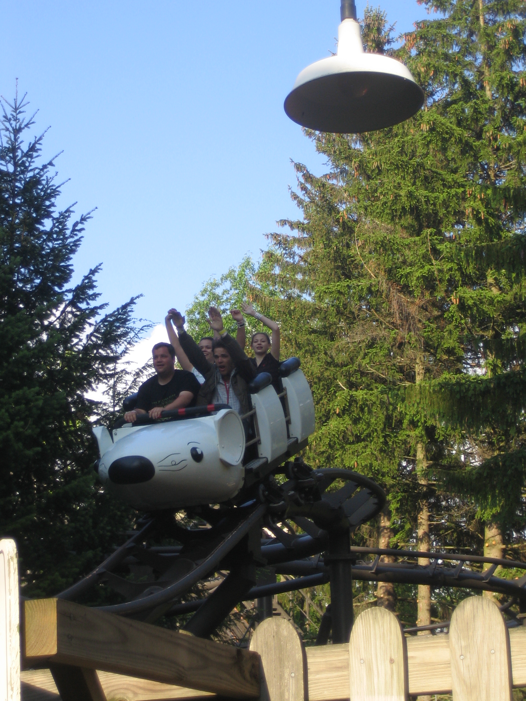 Idlewild Wild Mouse Roller Coaster Photo TR: Idlewild Park Theme