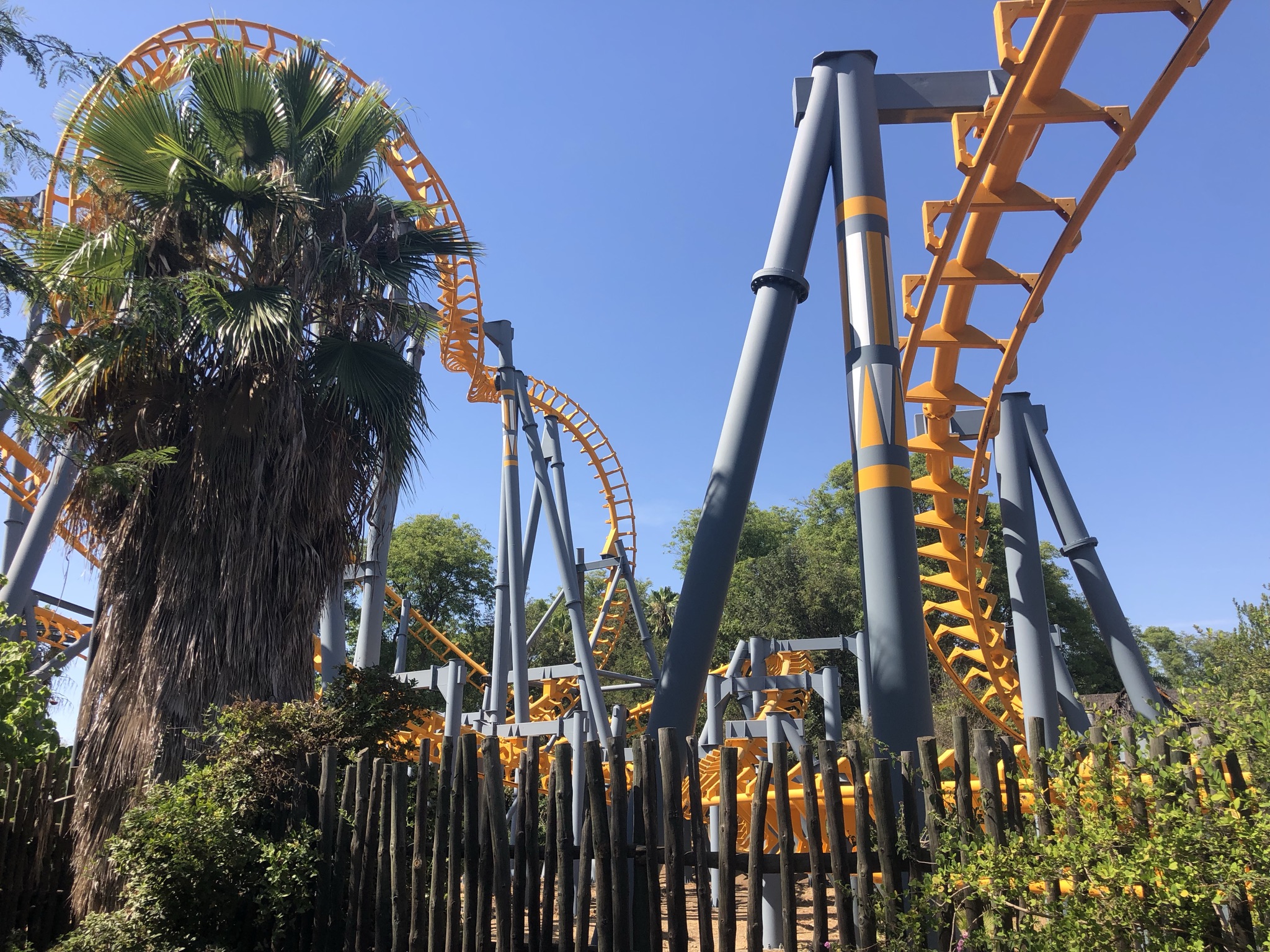 Jaguar Roller Coaster