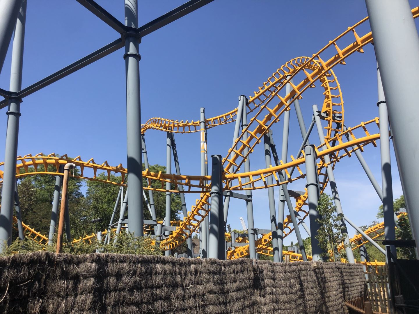 Jaguar Roller Coaster