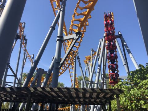 Jaguar Roller Coaster